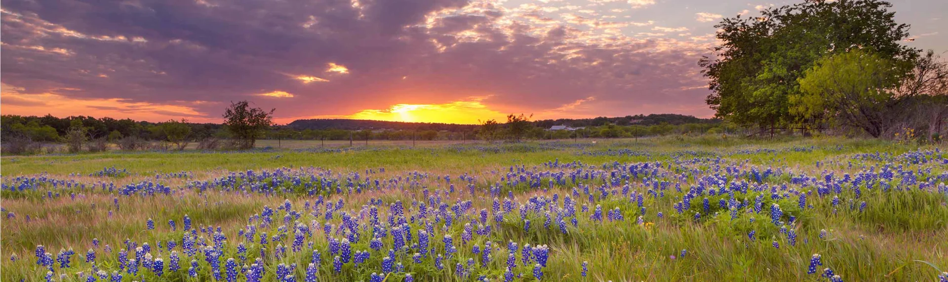 Texas - Apple Moving