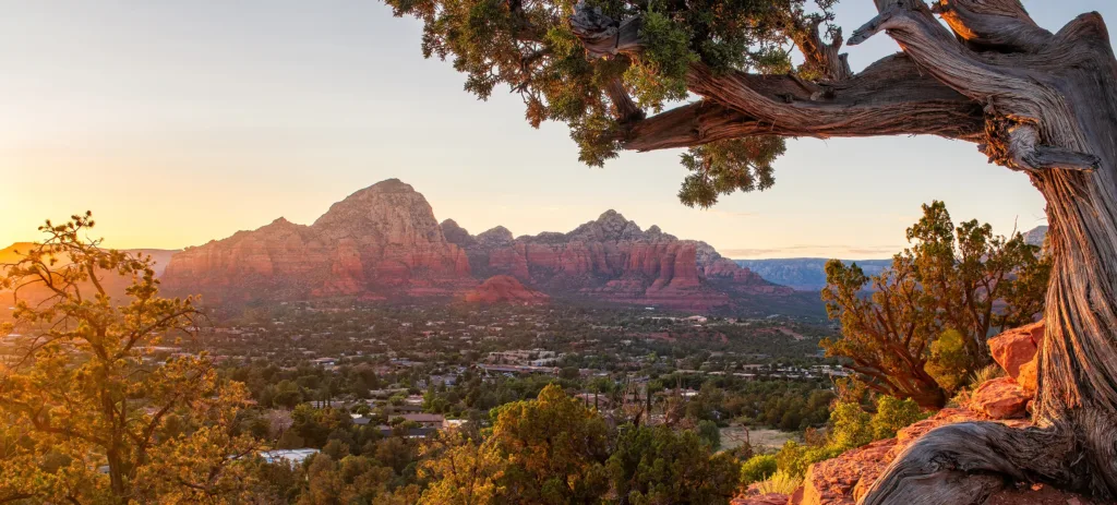 Arizona - Apple Moving