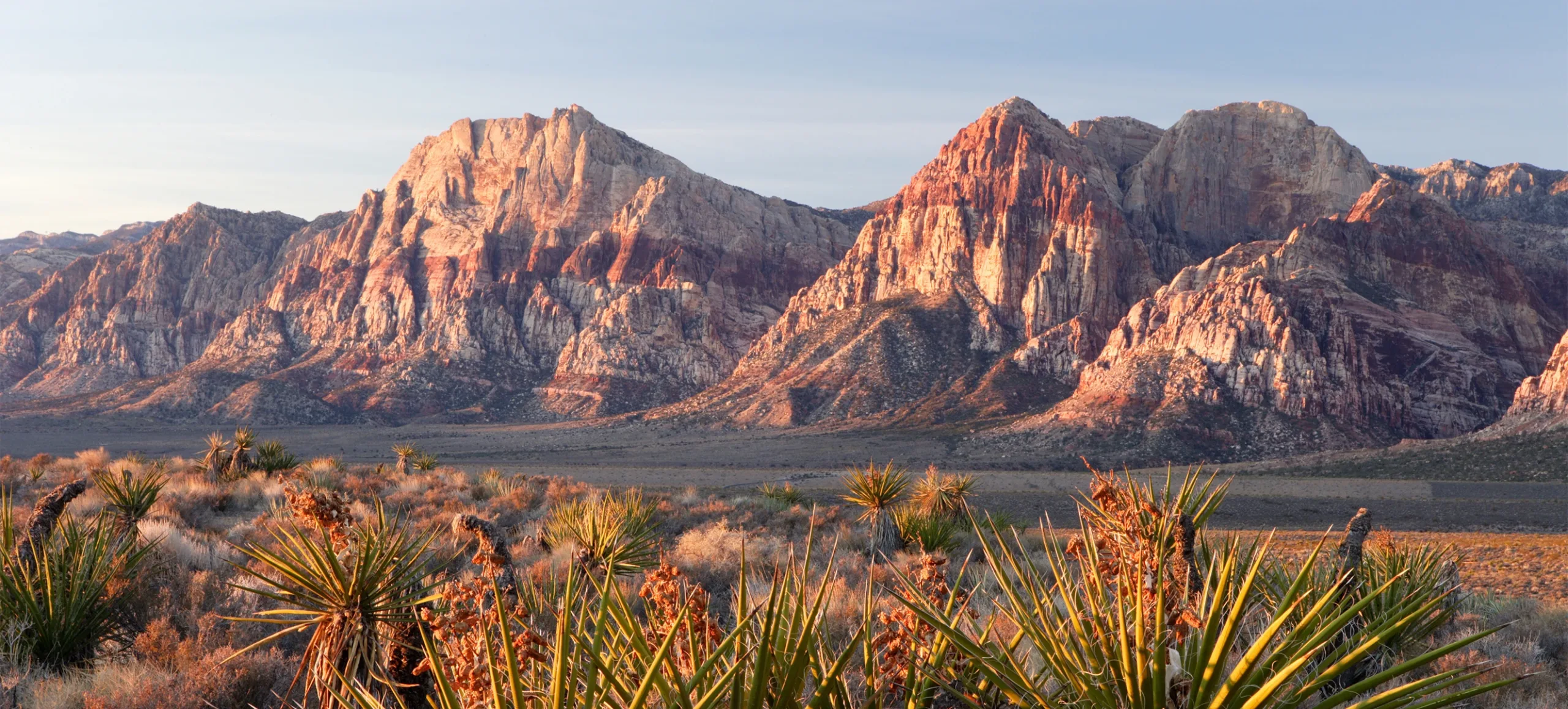 Nevada - Apple Moving